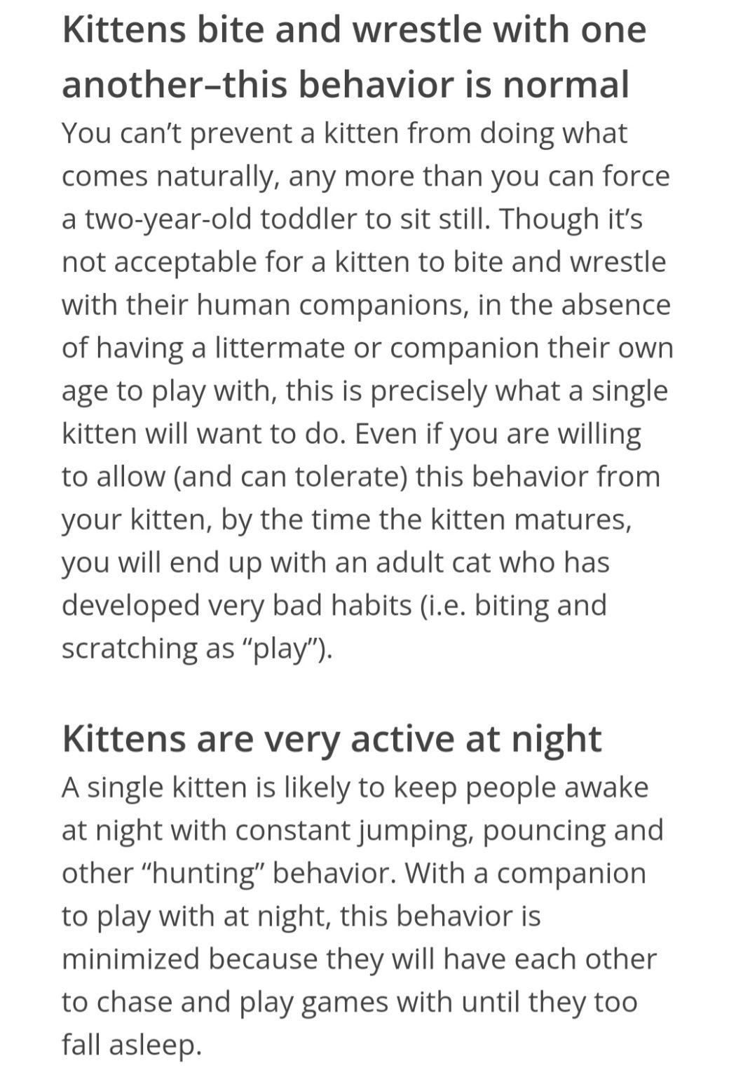 About Our Kittens - Goddess Cats Of The Forest