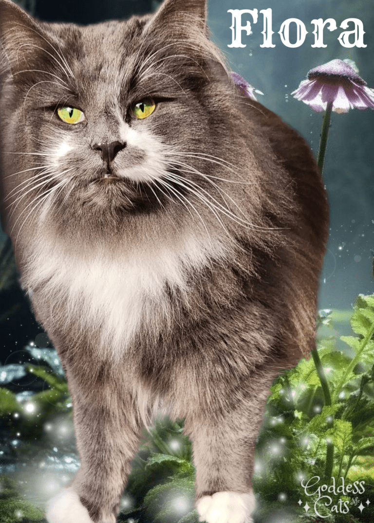 Goddess Cats Of The Forest